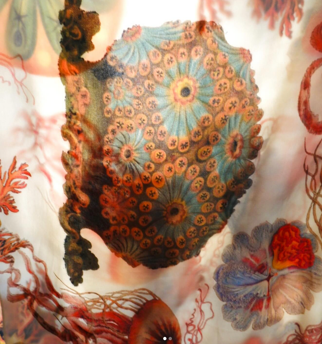 SSHAEBOTASC100 Haeckel Ascidea Collection Botanical Dye Silk Scarf – E.S.S